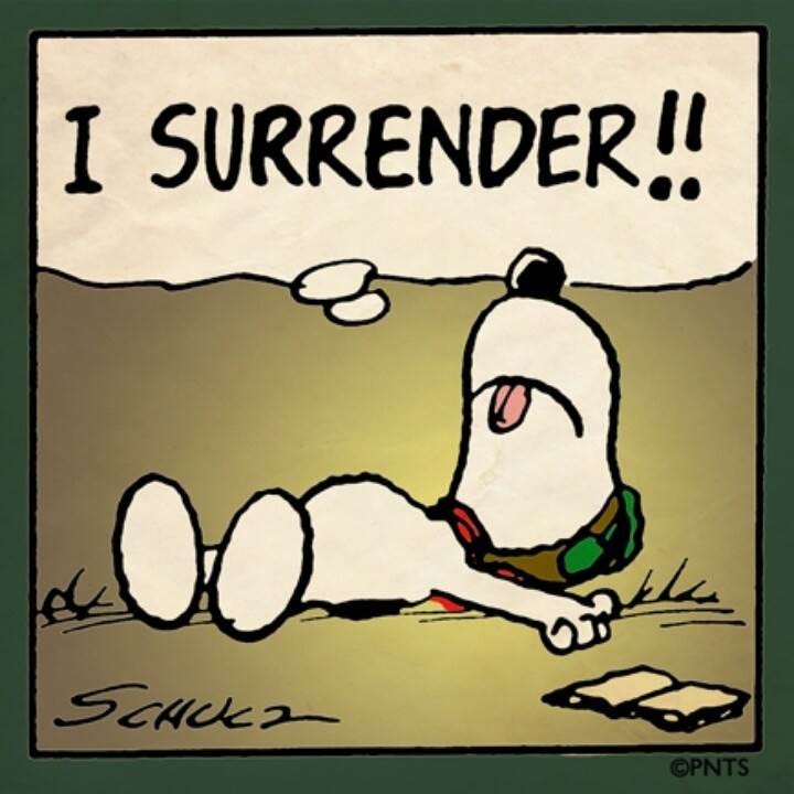 I surrender – Hopes and Dreams for Our Future – Medium