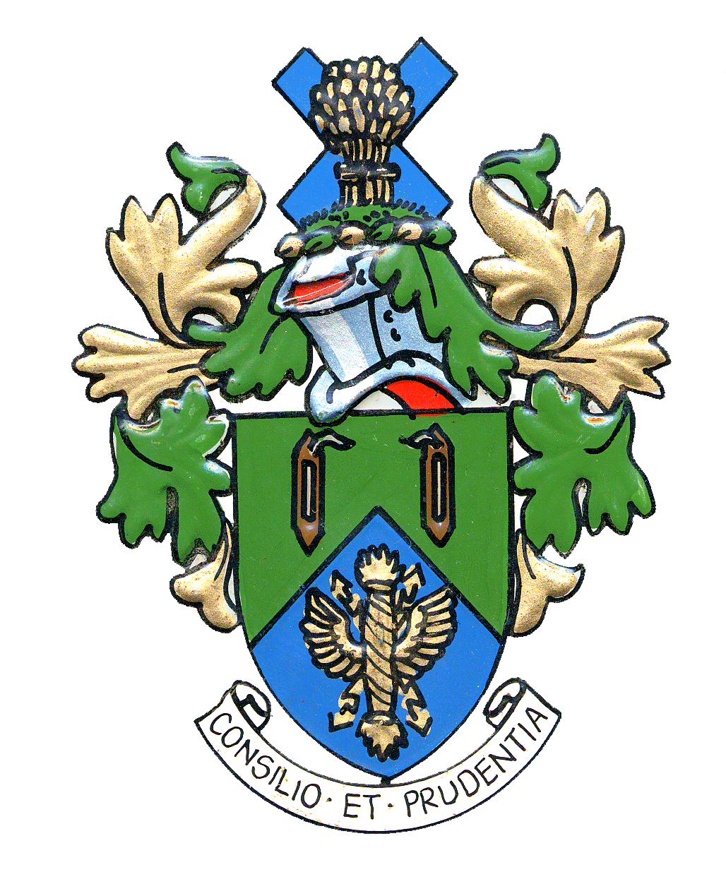 Halstead Cricket Club - Medium