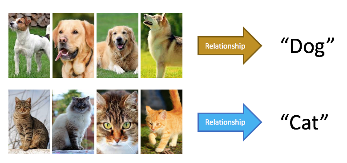 Using Extreme Gradient Boosted Trees in Machine Learning classification ...