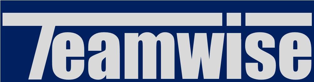 Teamwise Blog - Medium