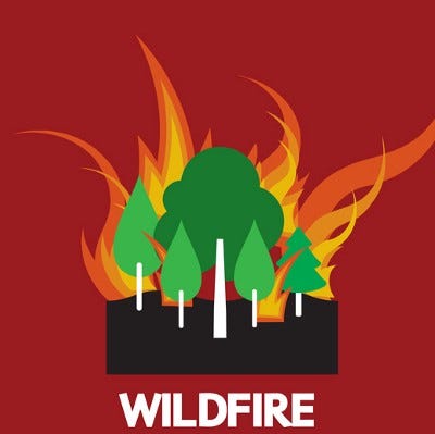 PM Team 7 — Fire360 Wildfire Detection – Medium