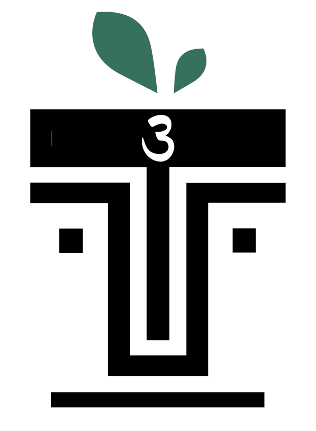 3T Nomad (English) - Medium