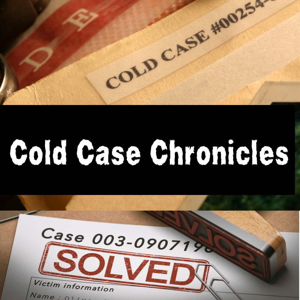 Cold Case Chronicles - Medium