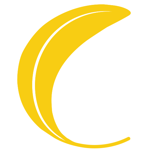 Canary AI Corp. - Medium