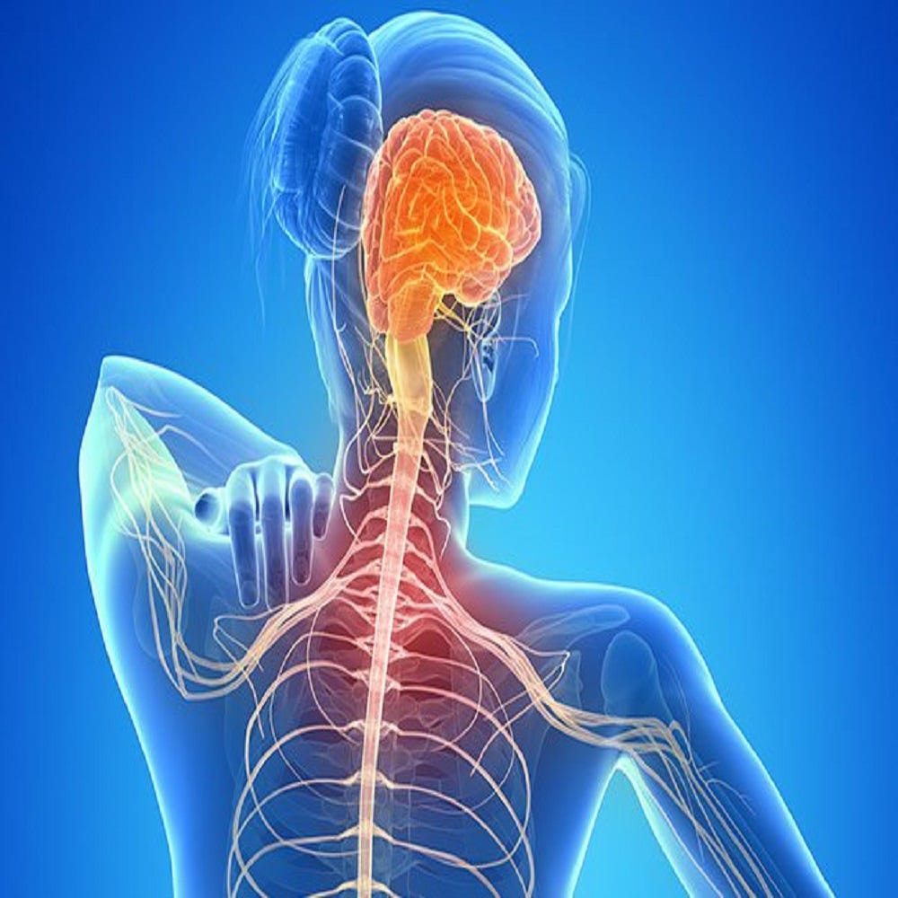 Neck Pain Medium