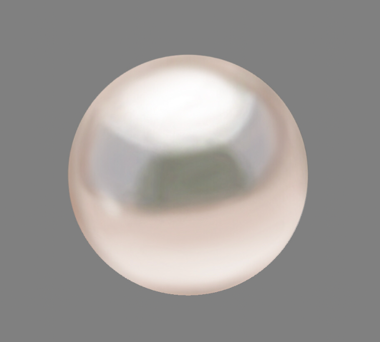 Oyster Pearl - Medium