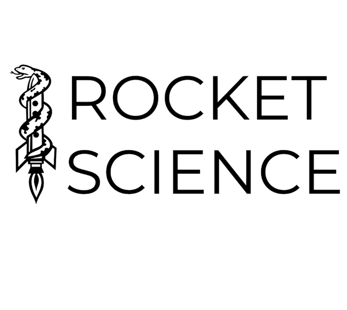 Rocket Science Team - Medium