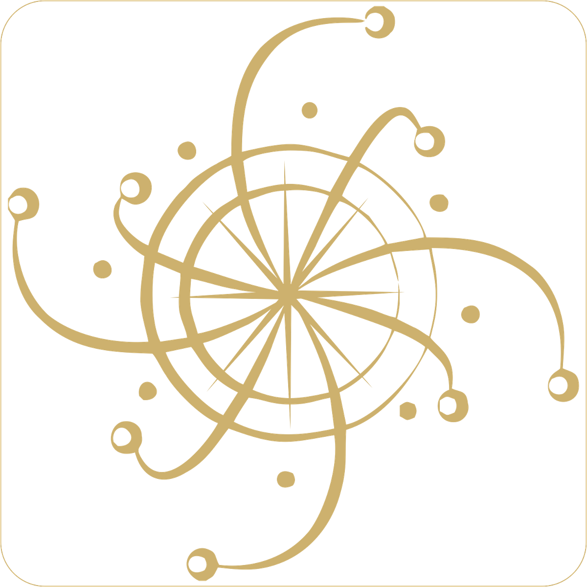 supernovas – Medium