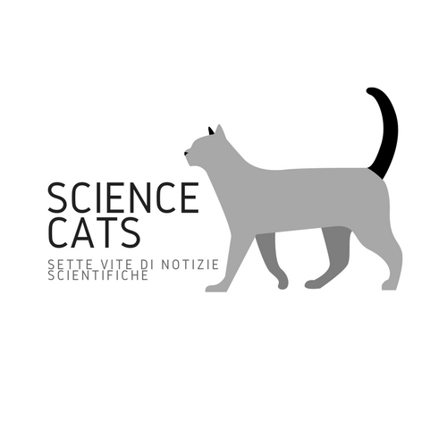 Science Cats - Medium