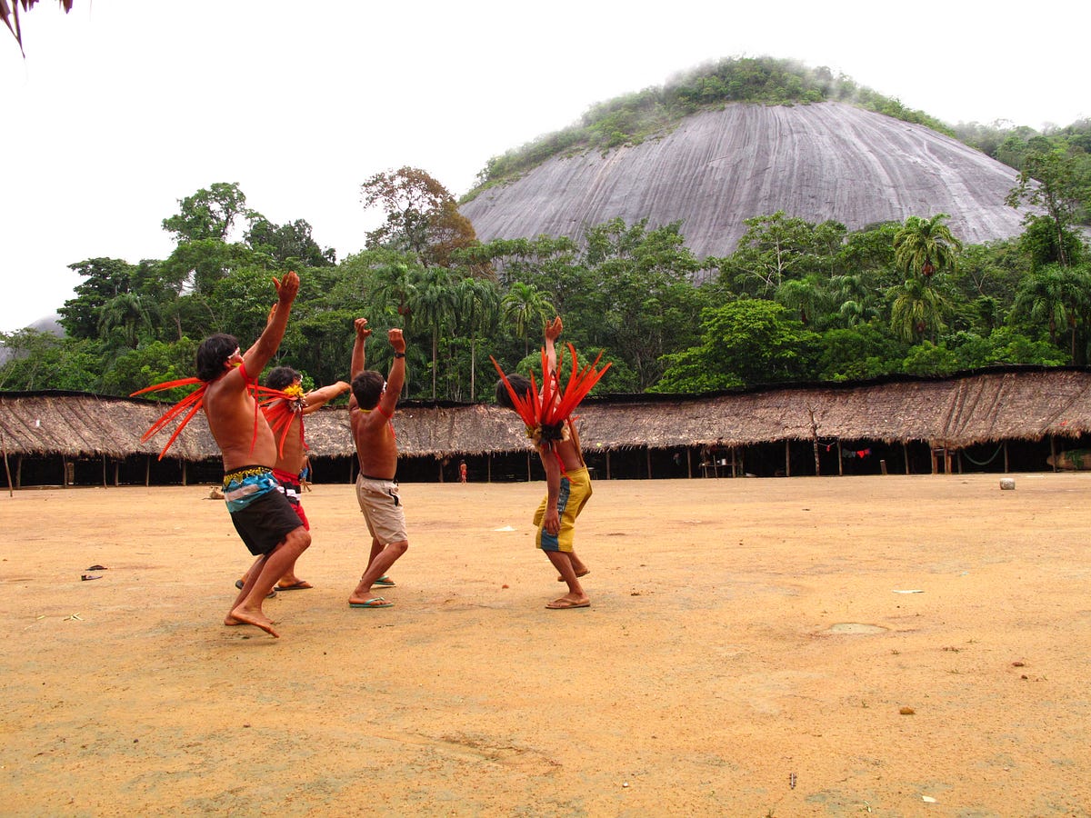 The traditional Yanomami medicine is now available to the world