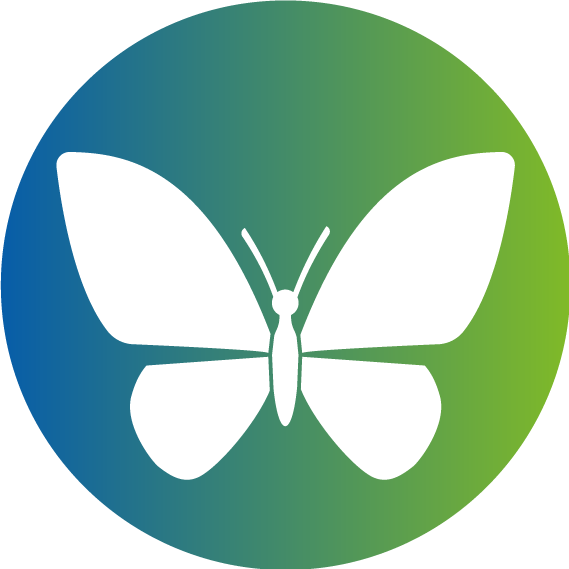 Evolve with us - Medium