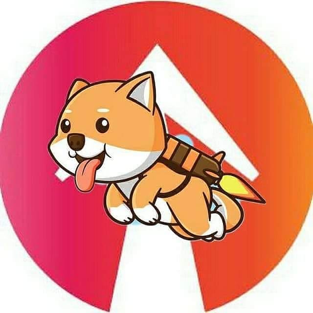 Shiba Rise - Medium
