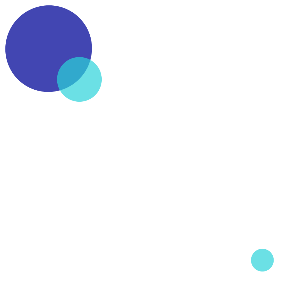 Nexi ECom Medium Nexi ECom Medium