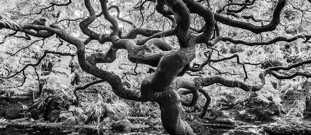 Blockchain Fundamentals: What is a Merkle Tree? – Byzantine – Medium