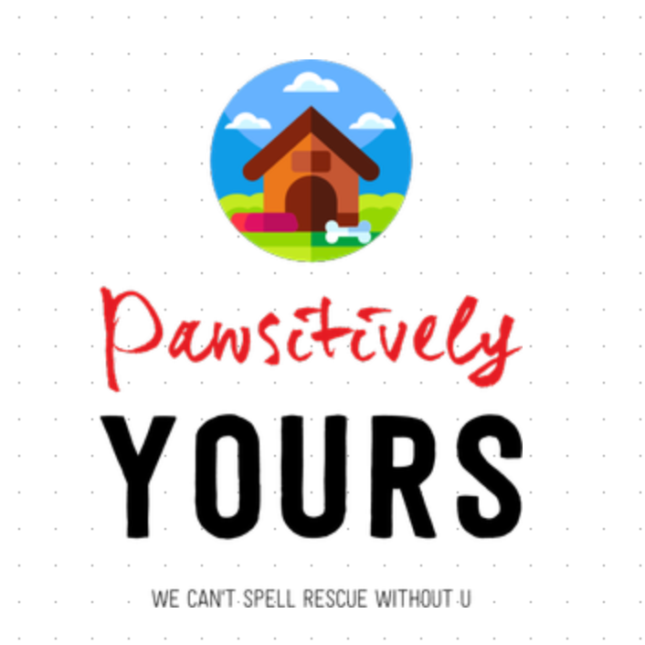 Pawsitively Yours - Medium