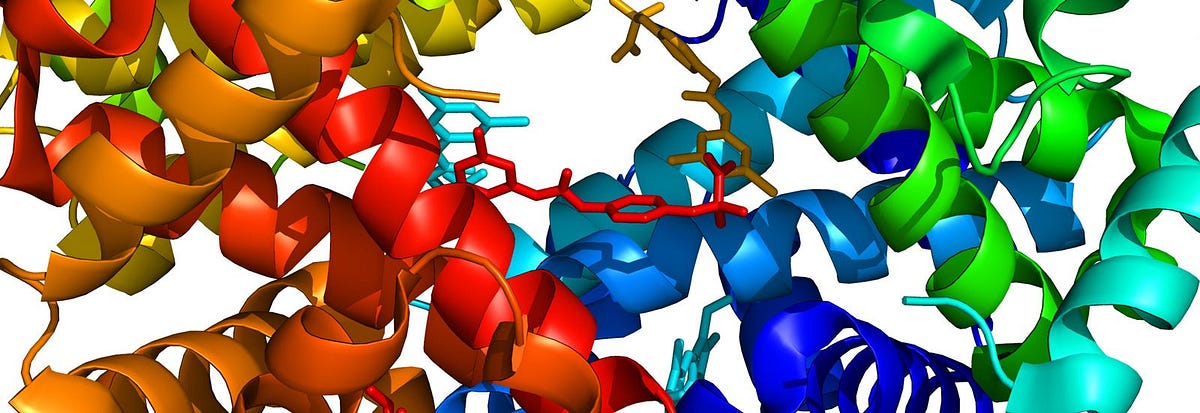Biomedical notes - Medium