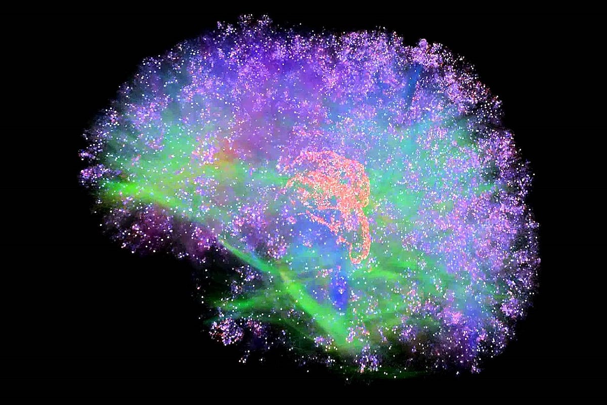 The pursuit of brain simulation — some challenges and considerations