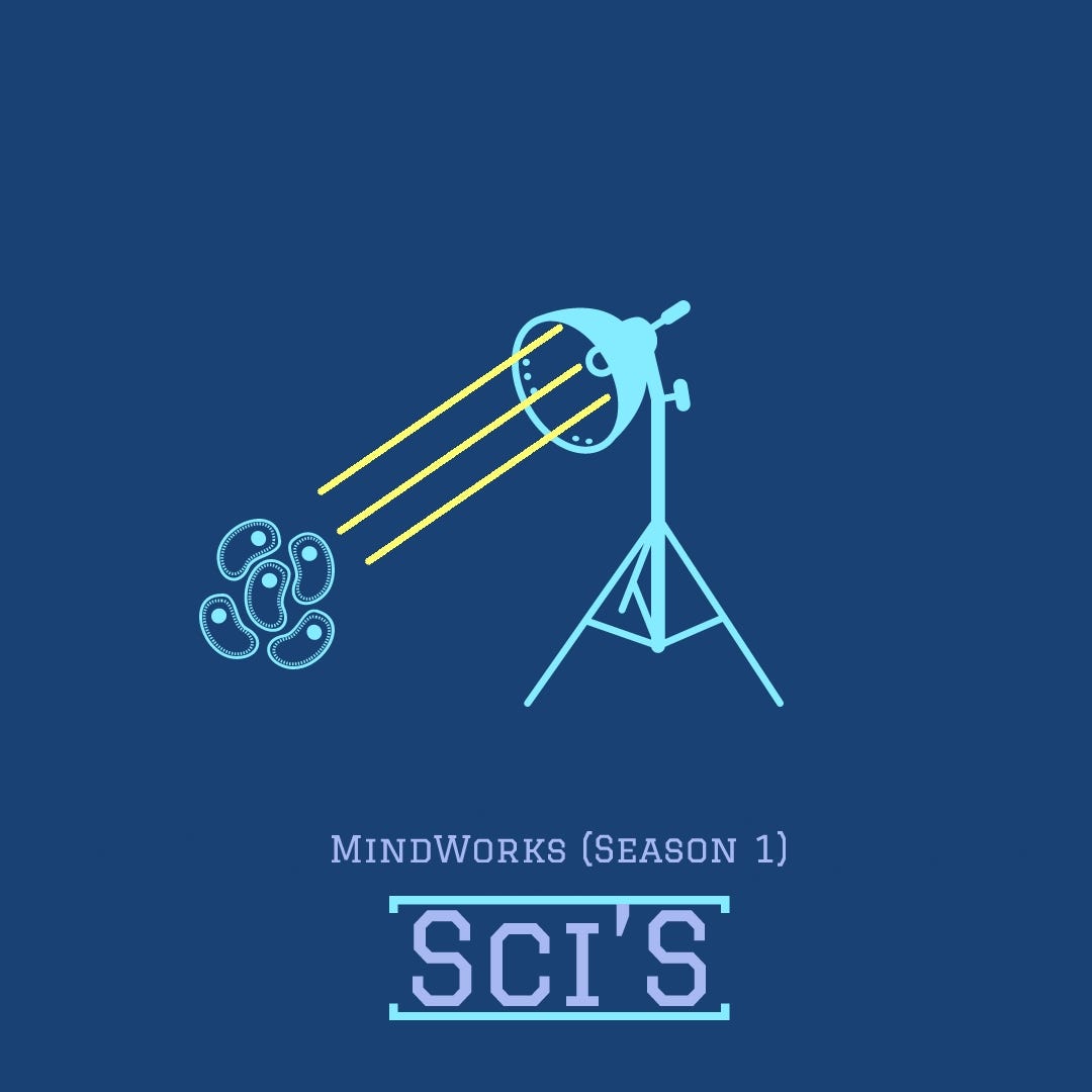 MindWorks Series – Medium