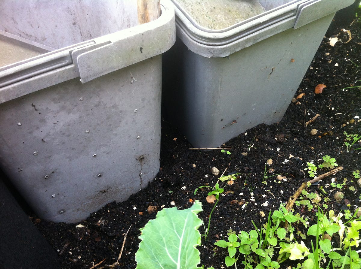 My rooftop balcony became a green roof! – Land And Ladle – Medium
