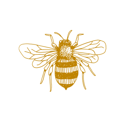 The Baptist Bee Medium