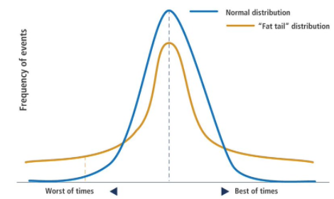 The Fat Tail – Medium