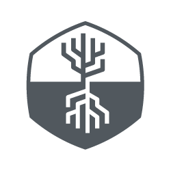 Polytree - Medium