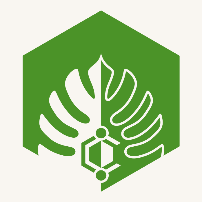 Cambrian Network - Medium