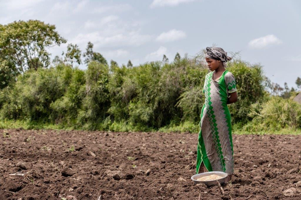 In poor countries, focus on protecting the elderly from Covid-19 – Medium