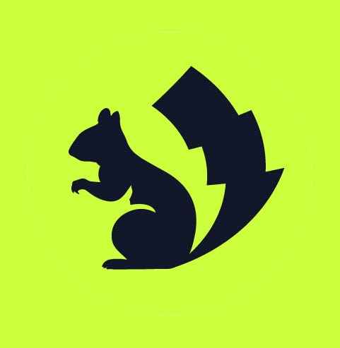 Electrik Squirrel - Medium