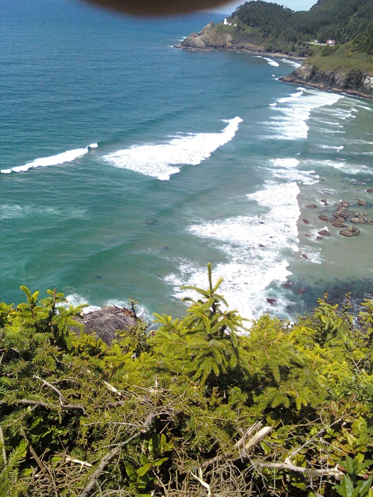 Western Oregon — Foothills to Coast - Medium
