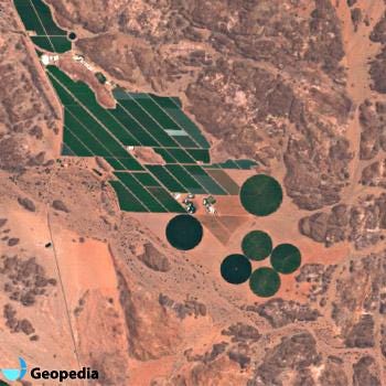 Agriculture monitoring based on continuous satellite imagery