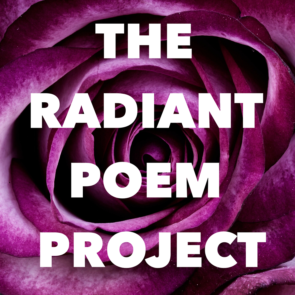 The Radiant Poem Project - Medium