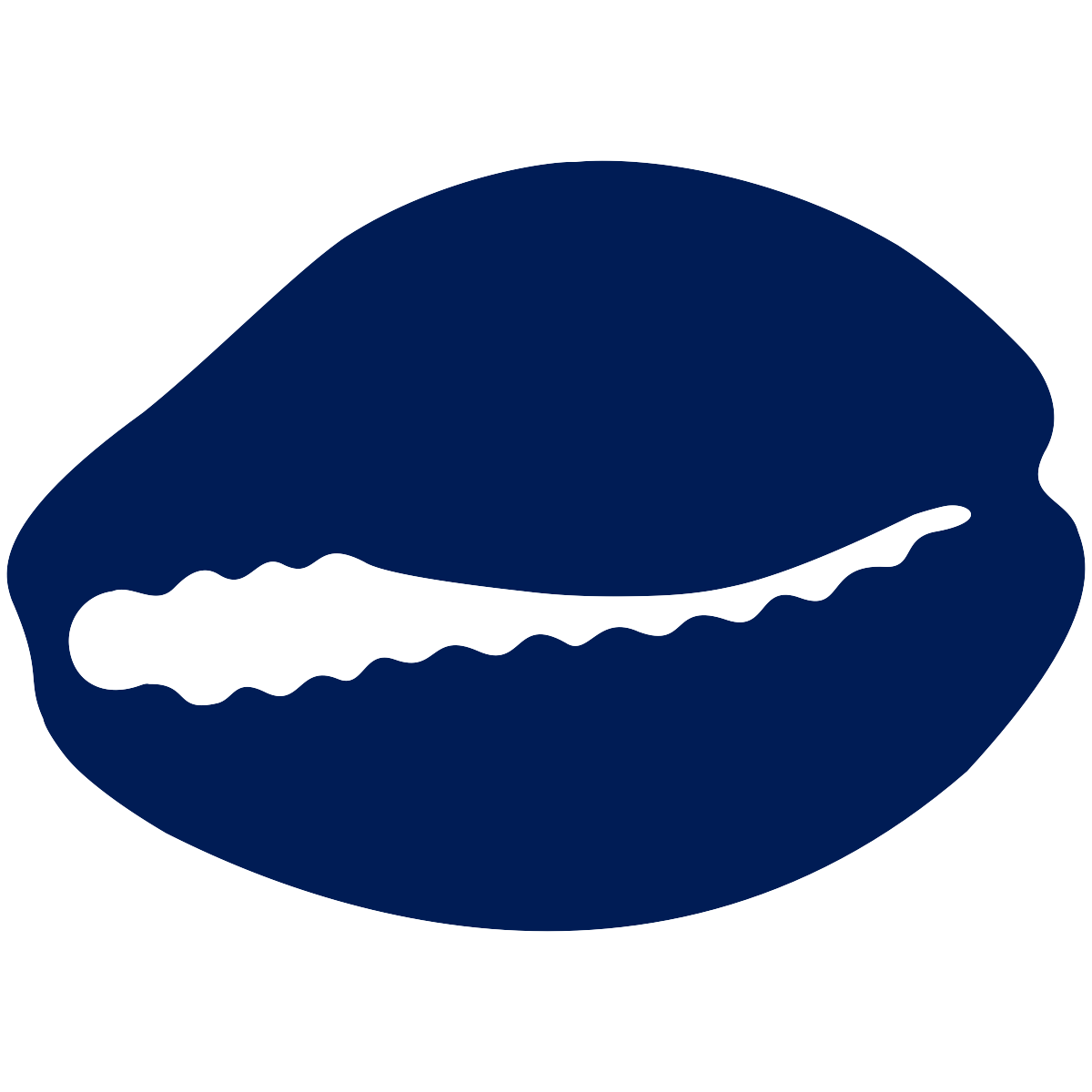 Cowry Accepted Here - Medium
