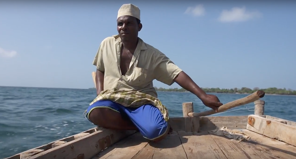 7 environmental films that you need to watch right now