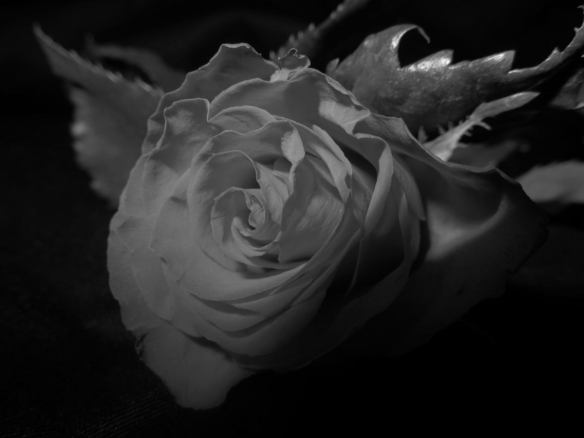 These Soul Rhymes of Mine – Medium