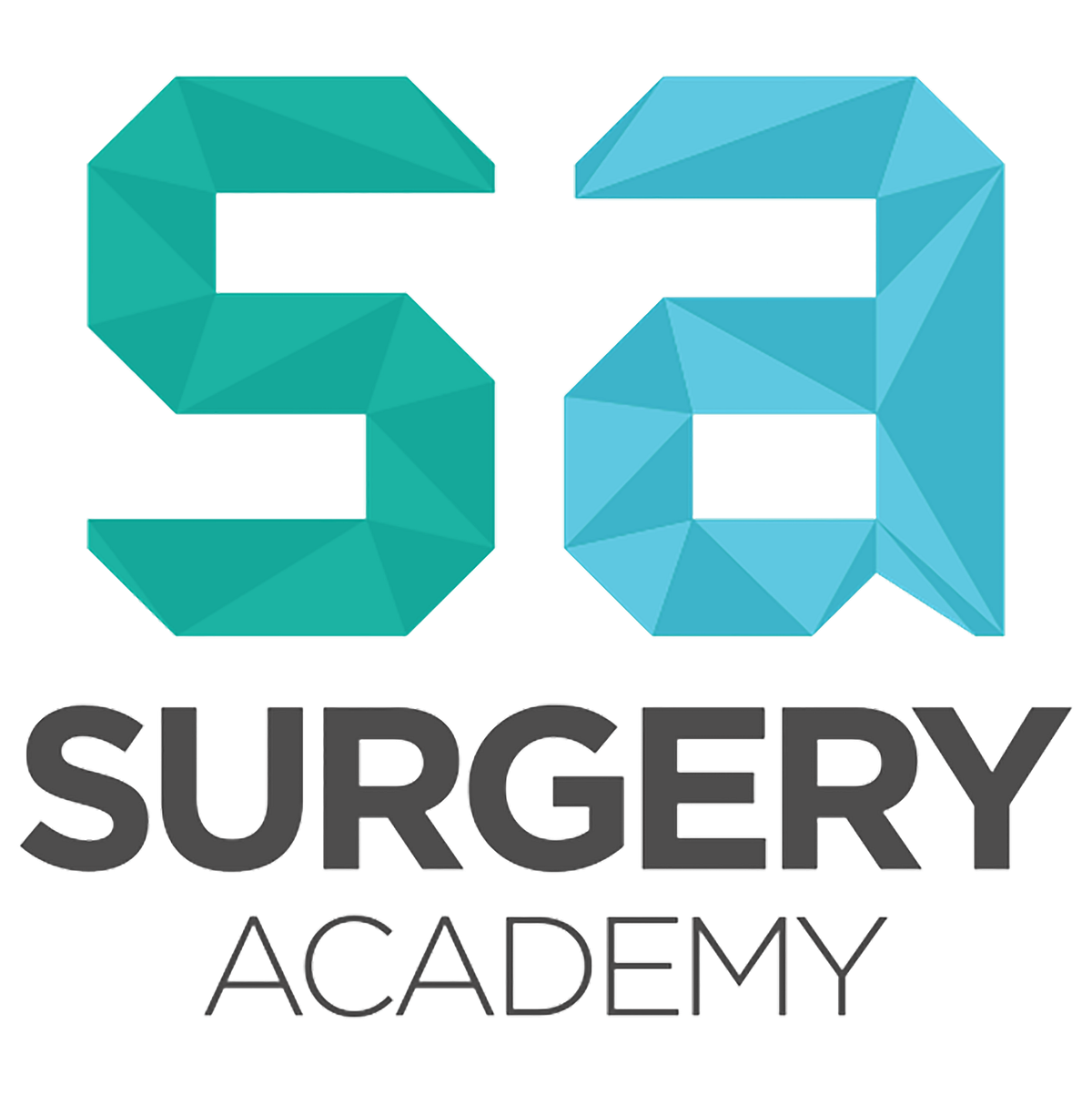 Surgery Academy – Medium
