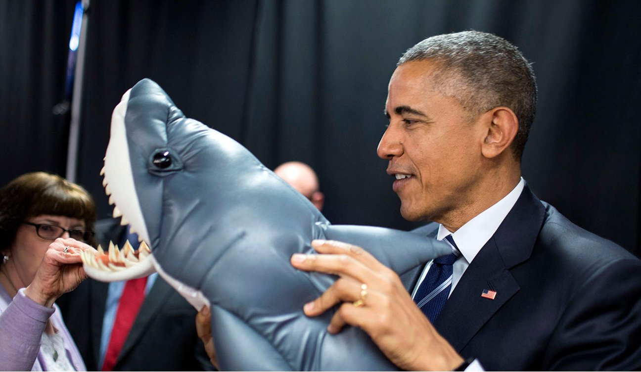 The following text was delivered at a talk entitled “Sharks and the American Presidency” hosted ...
