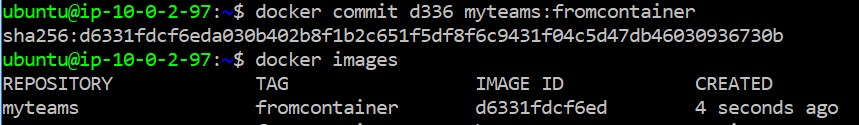 Docker On A Linux Based Ec2 Containerizing A C Api