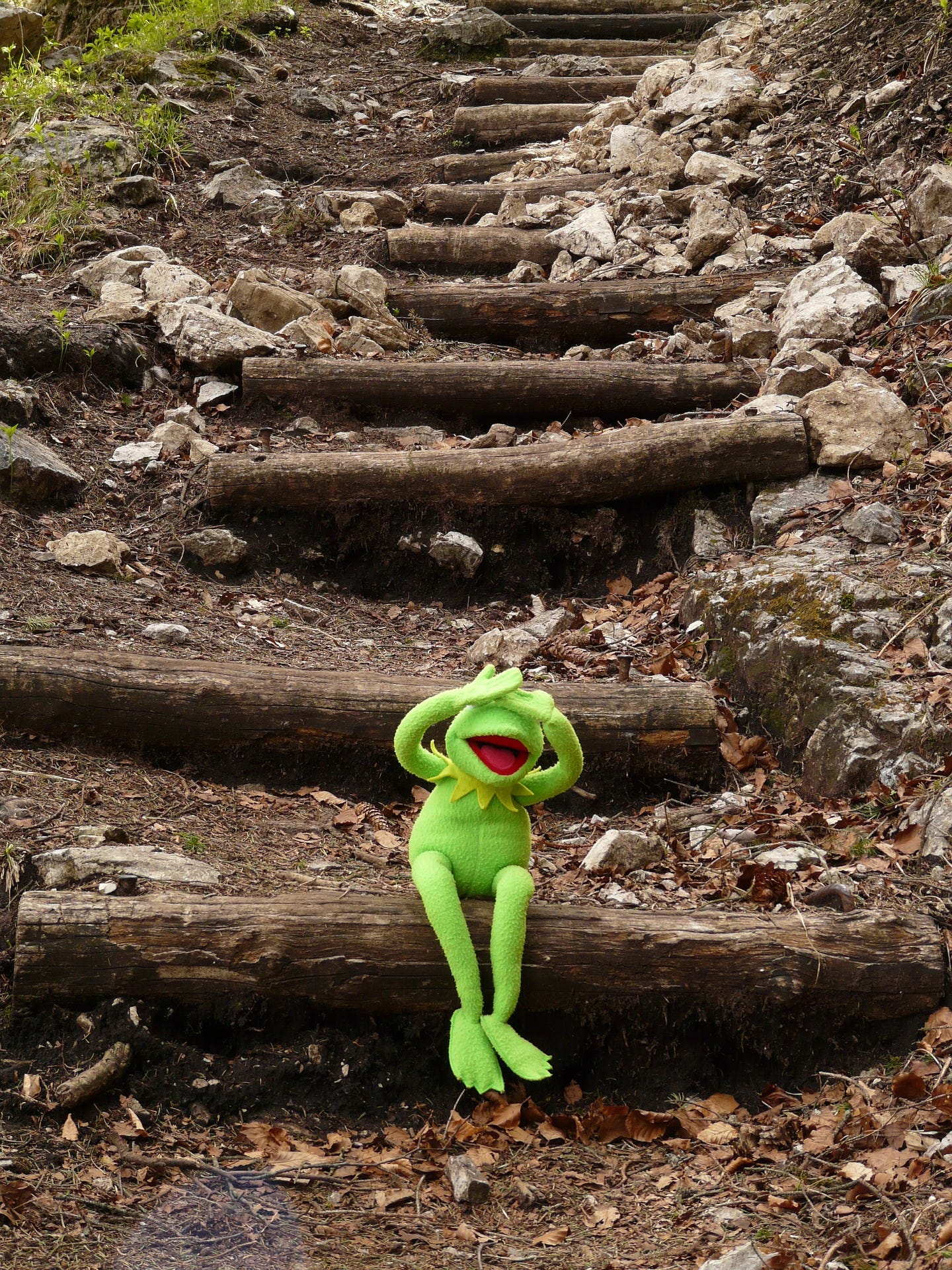 Kermit the Frog