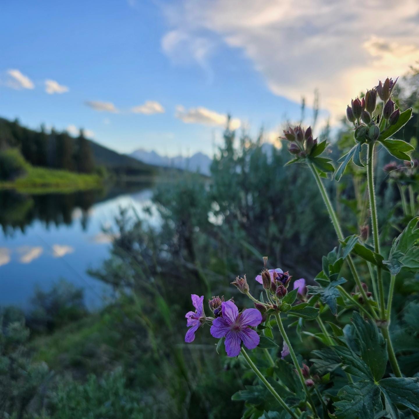 Recently, I discovered my love of the great outdoors.