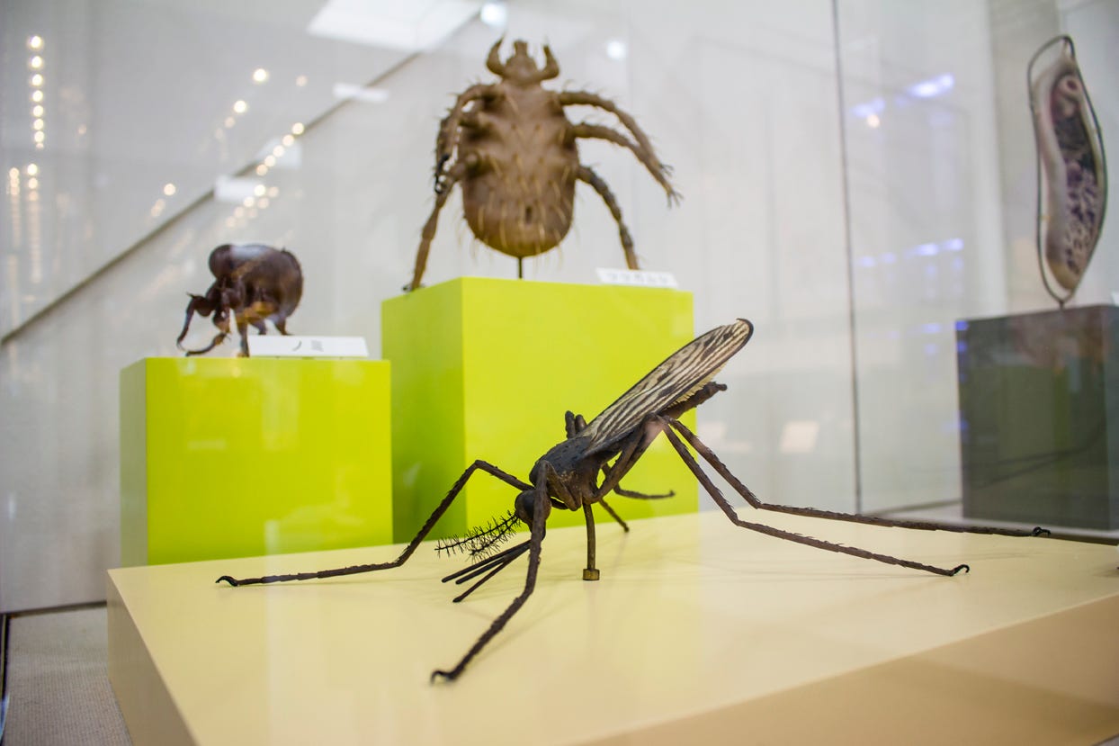 The World’s Only Museum Dedicated to Parasites – IGNITION INT. – Medium