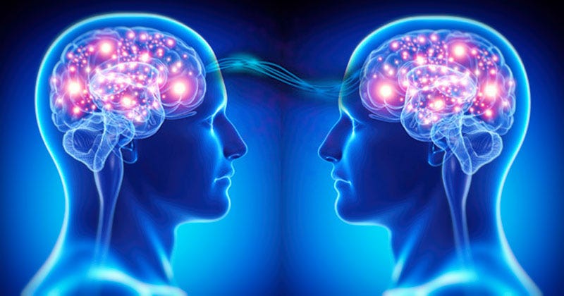 Using Neural Synchrony to Predict Box Office Success