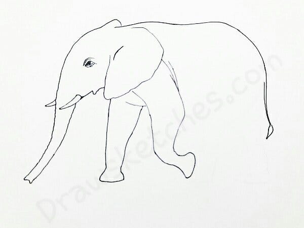 How to Draw an Elephant – Amanda Palmer – Medium