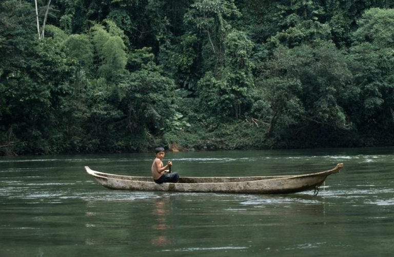 ¿Cómo están protegiendo los bosques del Chocó ecuatoriano? Tres ...