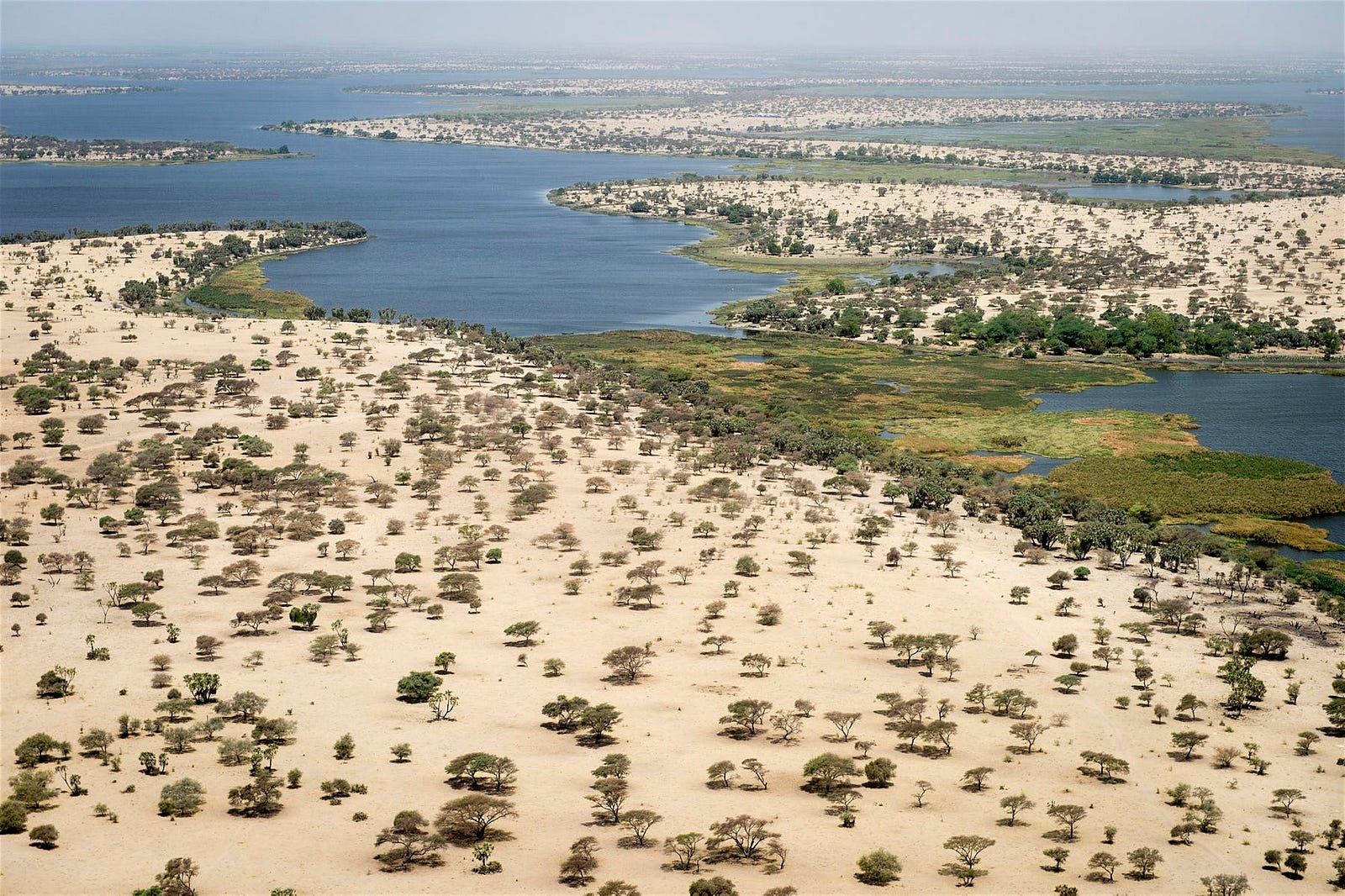 Living on the shores of Lake Chad – World Food Programme Insight