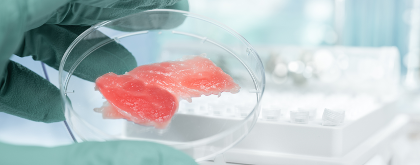 Is Synthetic Meat in Our Future? – Best Food Facts – Medium
