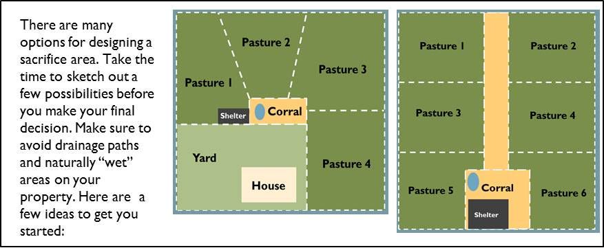A look at pasture divisions into paddocks – new farmer – Medium
