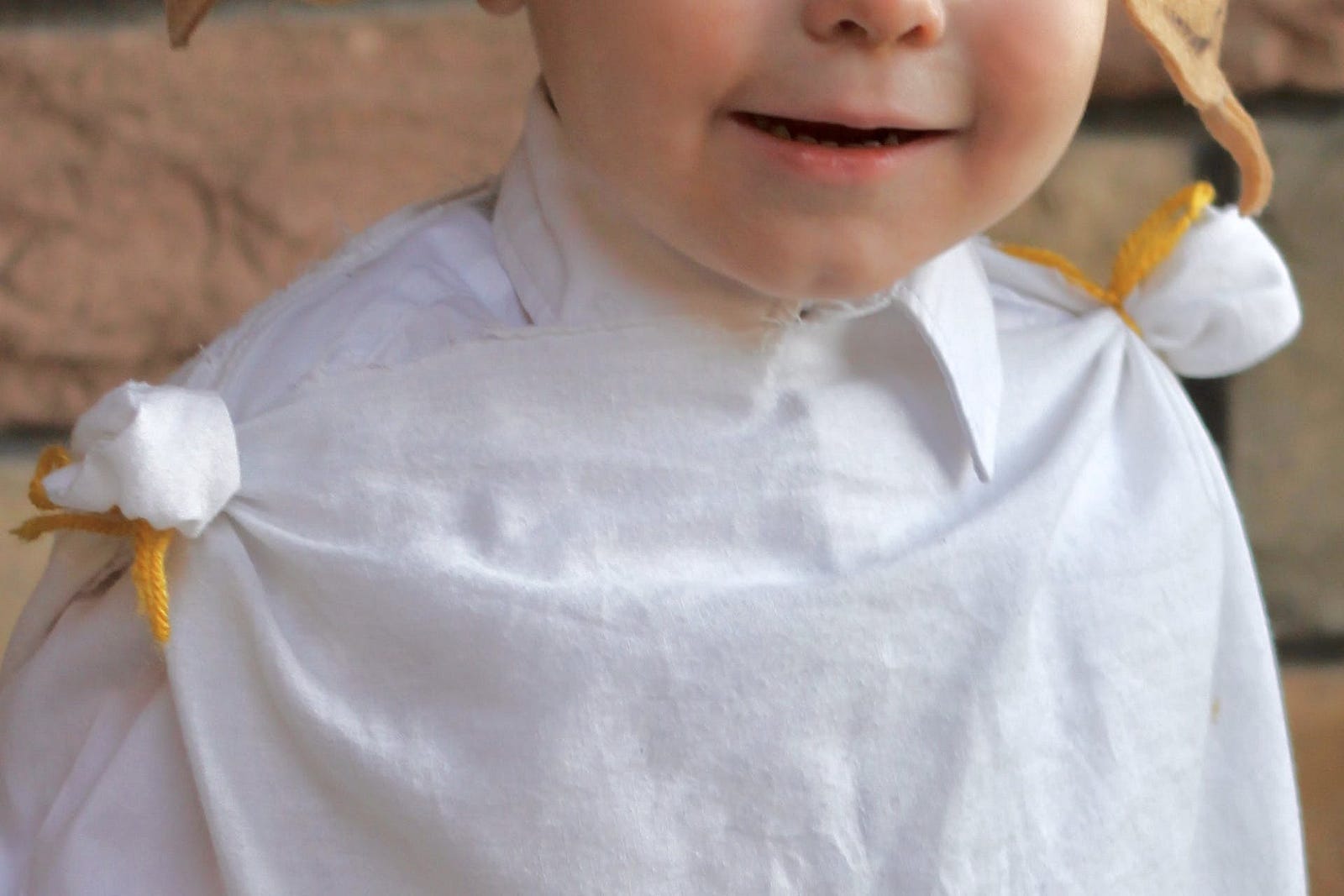 Harry Potter Halloween {Dobby} – DIY Fans – Medium