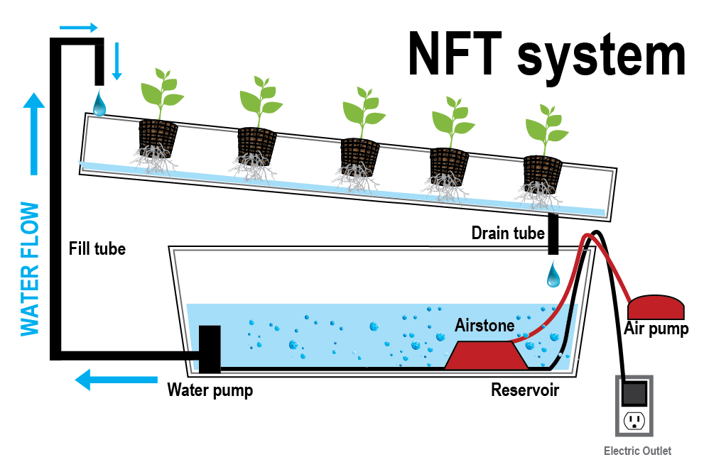 Nutrient Film Technique – Hydroponics – Medium