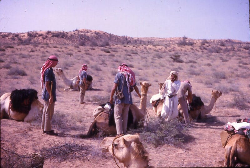The Trucial Oman Scouts Was the British Army’s Last Desert Romance
